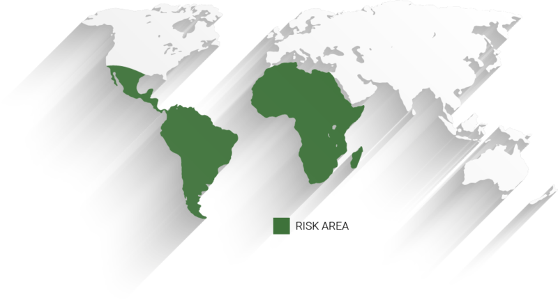 Worcester Travel Clinic are a registered Yellow Fever Clinic